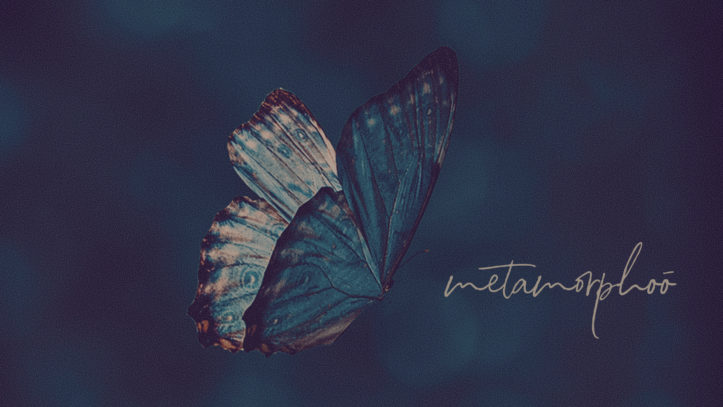 Message: “The Process of Transformation” from Aron Kirk | Free People ...